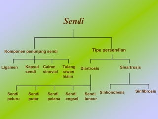 PPT SISTEM RANGKA.ppt