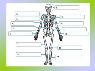 PPT SISTEM RANGKA.ppt