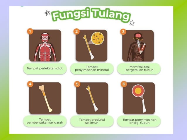 PPT SISTEM RANGKA.ppt