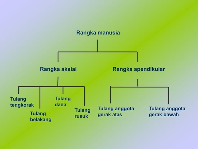 PPT SISTEM RANGKA.ppt