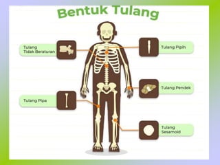 PPT SISTEM RANGKA.ppt