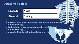 Anatomi sistem musculoskeletal pada manusia | PPTX