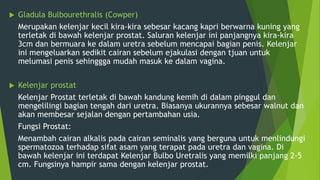 Ppt sistem reproduksi | PPT