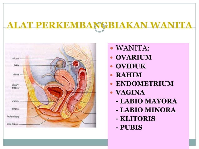 Power Point Materi IPA Sistem Reproduksi kelas 9.ppt