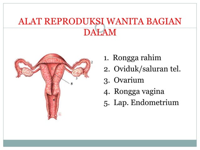 Power Point Materi IPA Sistem Reproduksi kelas 9.ppt