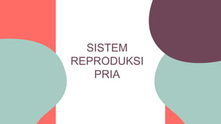 Ppt sistem reproduksi pria kel 4 | PPTX