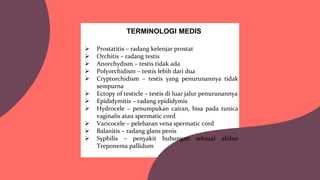 Ppt sistem reproduksi pria kel 4 | PPTX