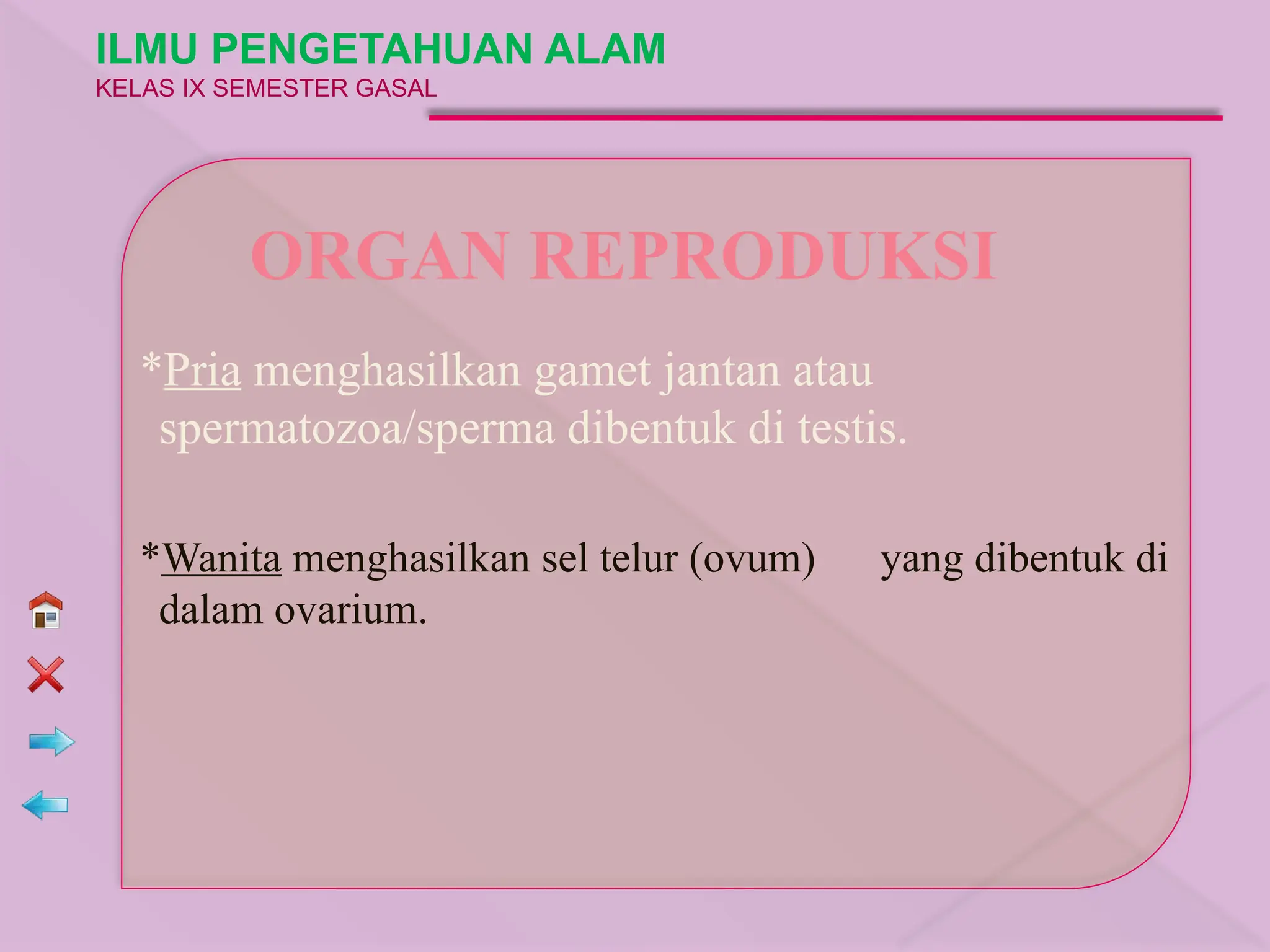 PPT SISTEM REPRODUKSI MANUSIA KELAS 9.pptx