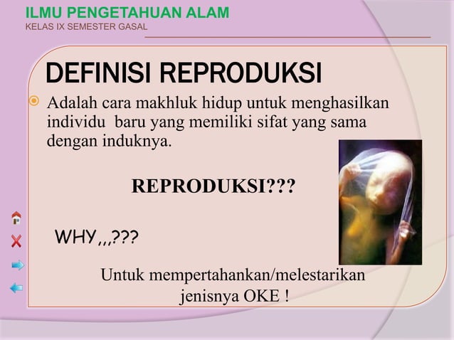 PPT SISTEM REPRODUKSI MANUSIA KELAS 9.pptx