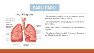 PPT SISTEM RESPIRASI / PERNAPASAN PADA MANUSIA.pptx
