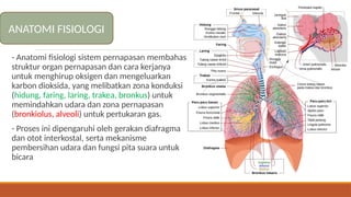 PPT SISTEM RESPIRASI / PERNAPASAN PADA MANUSIA.pptx