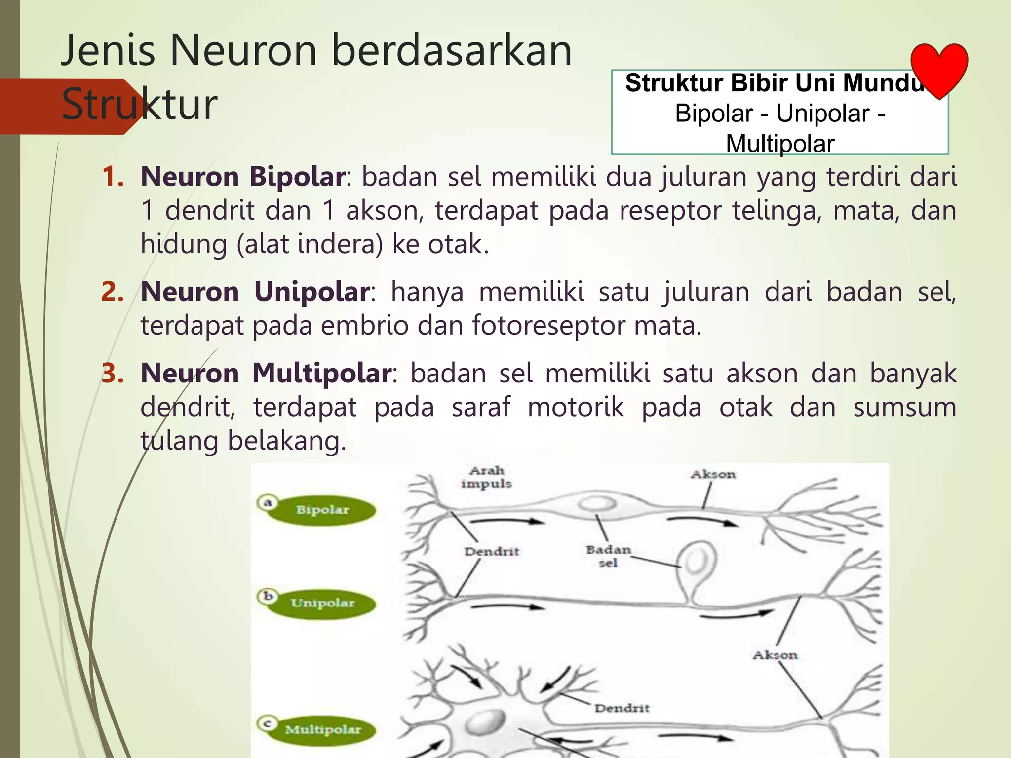 PPT Sistem Saraf 1.ppt