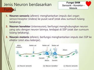 PPT Sistem Saraf 1.ppt