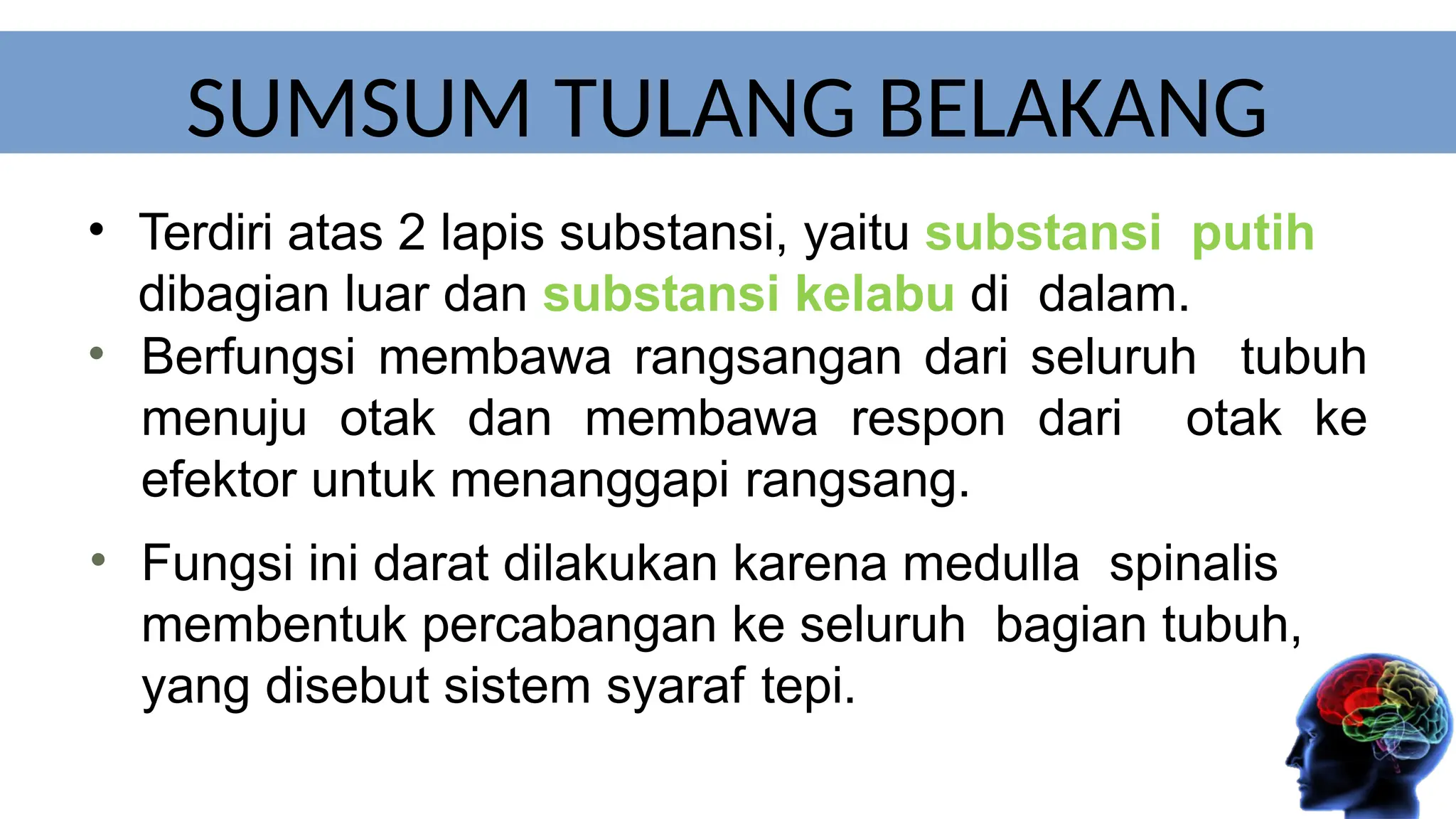 Anatomi dan Fisiologi Sistem Saraf 2024.pptx