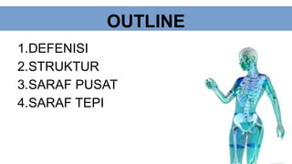 Anatomi dan Fisiologi Sistem Saraf 2024.pptx