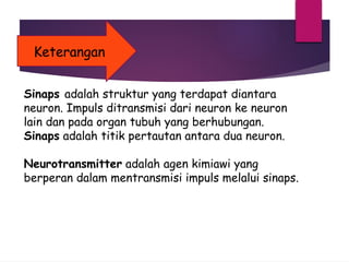 PPT_Sistem_Saraf_Manusia.pptx tentang sistem saraf | PPTX