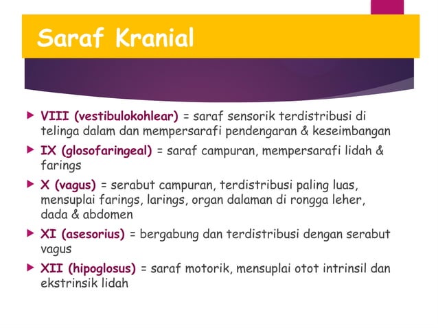 PPT hal hal ringkasan Sistem Saraf Manusia.pptx