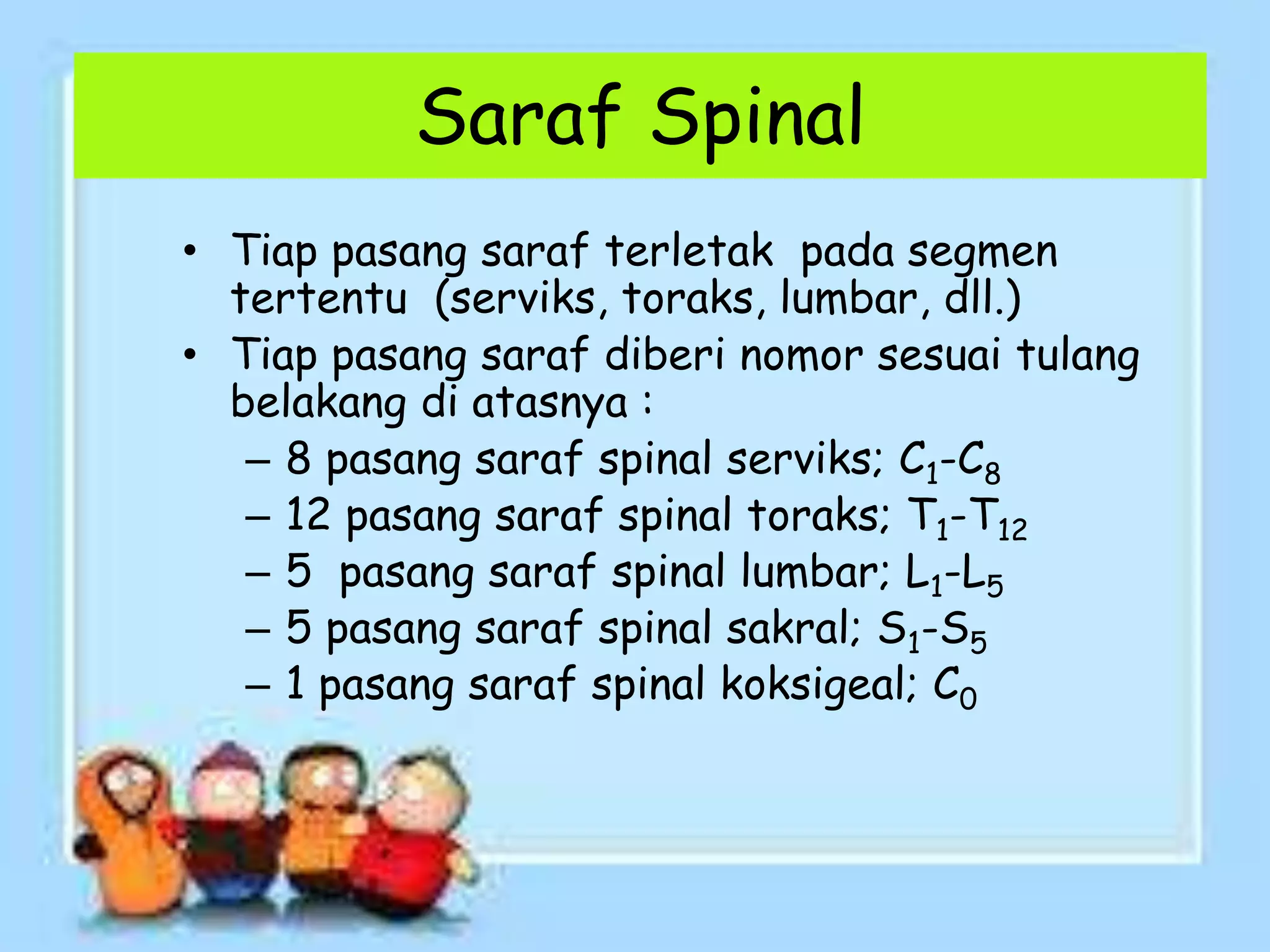 Ppt sistem saraf_manusia (1) | PPTX