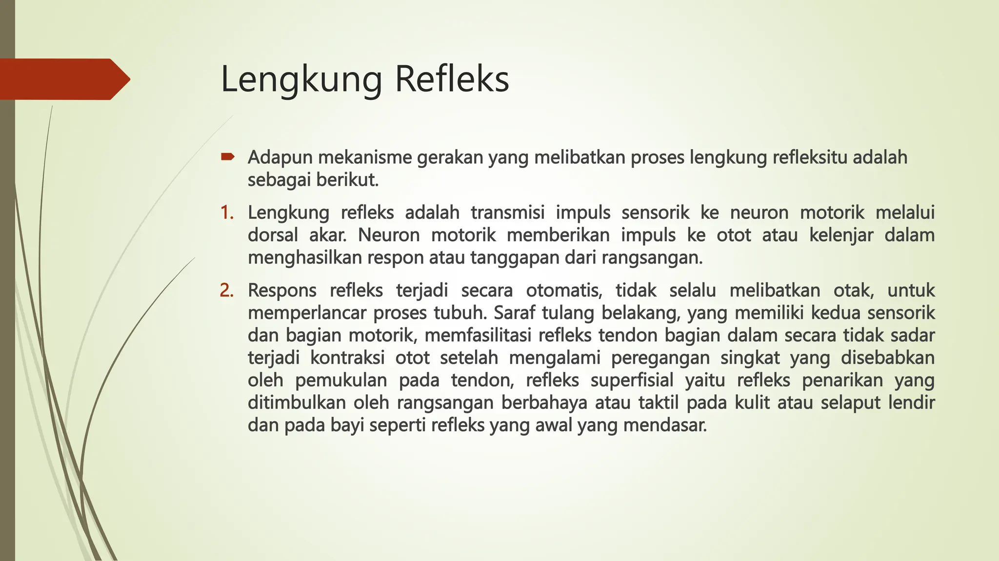 PPT Sistem saraf_XI2.pptx