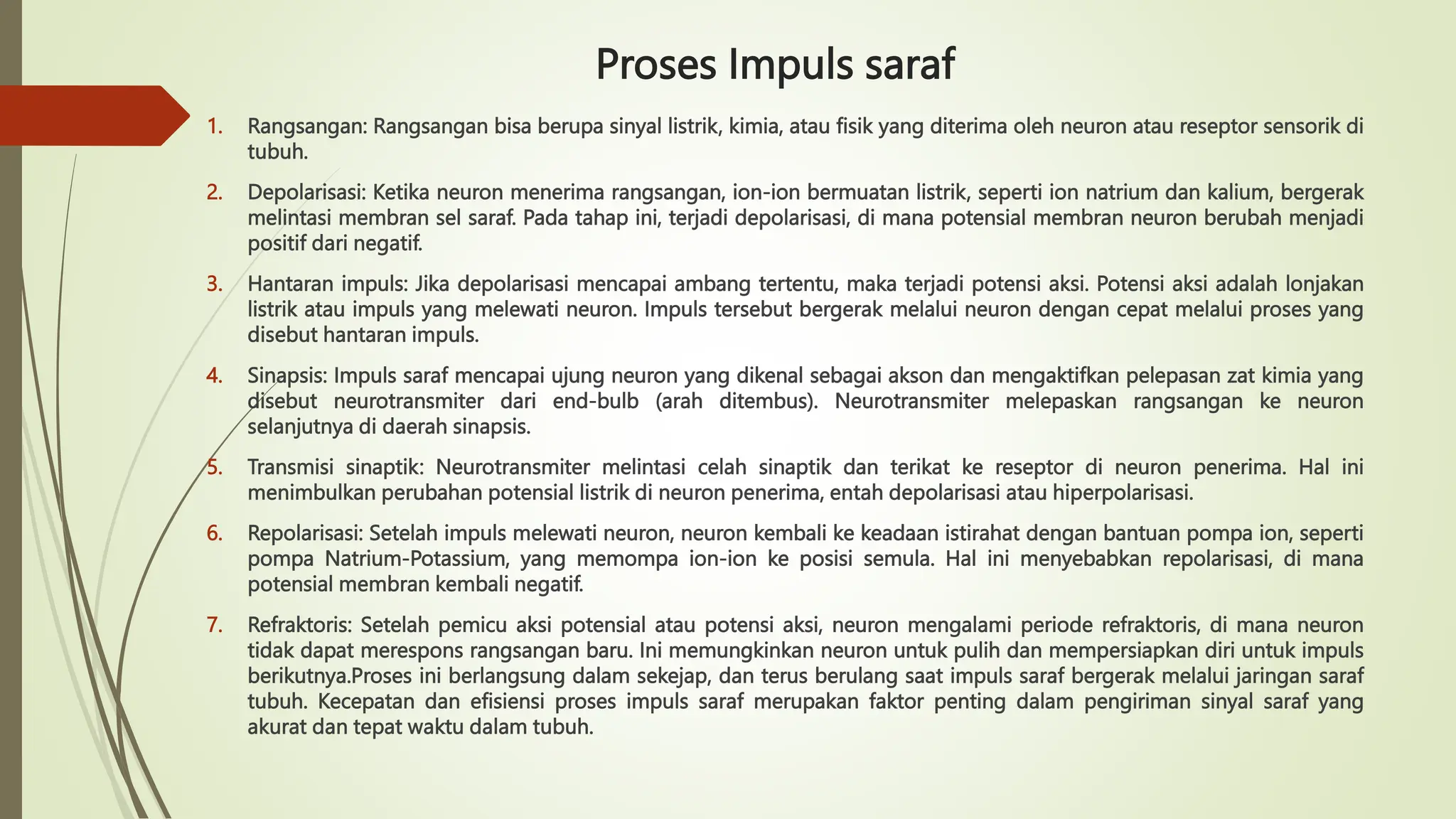 PPT Sistem saraf_XI2.pptx