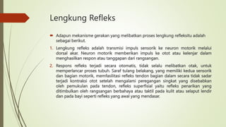 PPT Sistem saraf_XI2.pptx