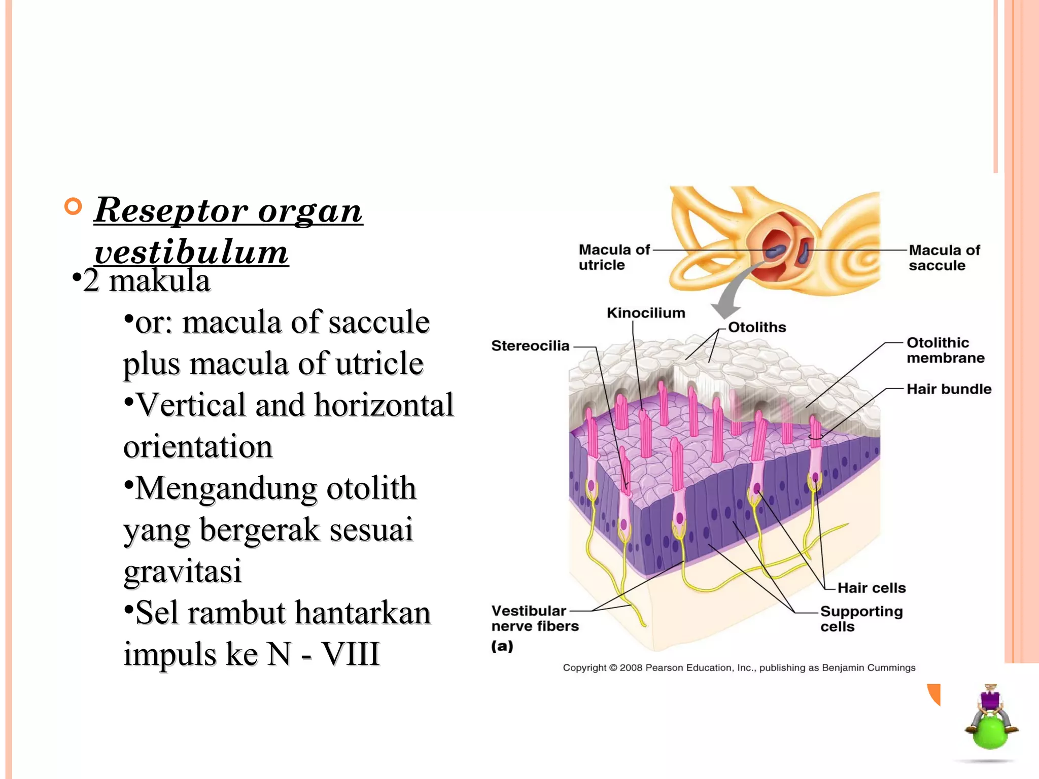 Ppt sistem sensori | PPT