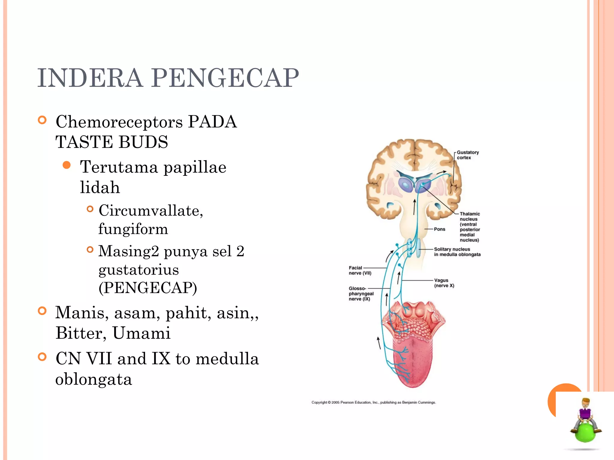 Ppt sistem sensori | PPT