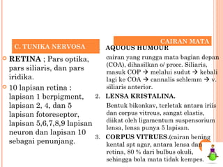Ppt sistem sensori | PPT
