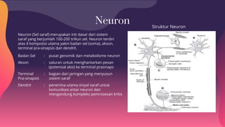 PPT Sistem Syaraf.pptx