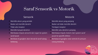 PPT Sistem Syaraf.pptx