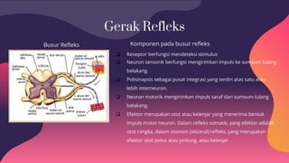 PPT Sistem Syaraf.pptx