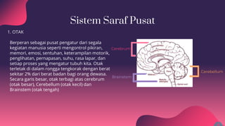 PPT Sistem Syaraf.pptx