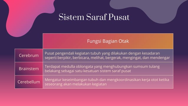 PPT Sistem Syaraf.pptx | Free Download