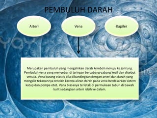 Ppt sistem transportasi darah mutmainnah | PPTX