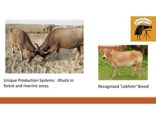 Ppt SITA vet_roadmap_7thsept2018 | PPT