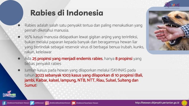 PPT Situasi Pengendalian Rabies Nasional - pdhi 9Sep23.pptx