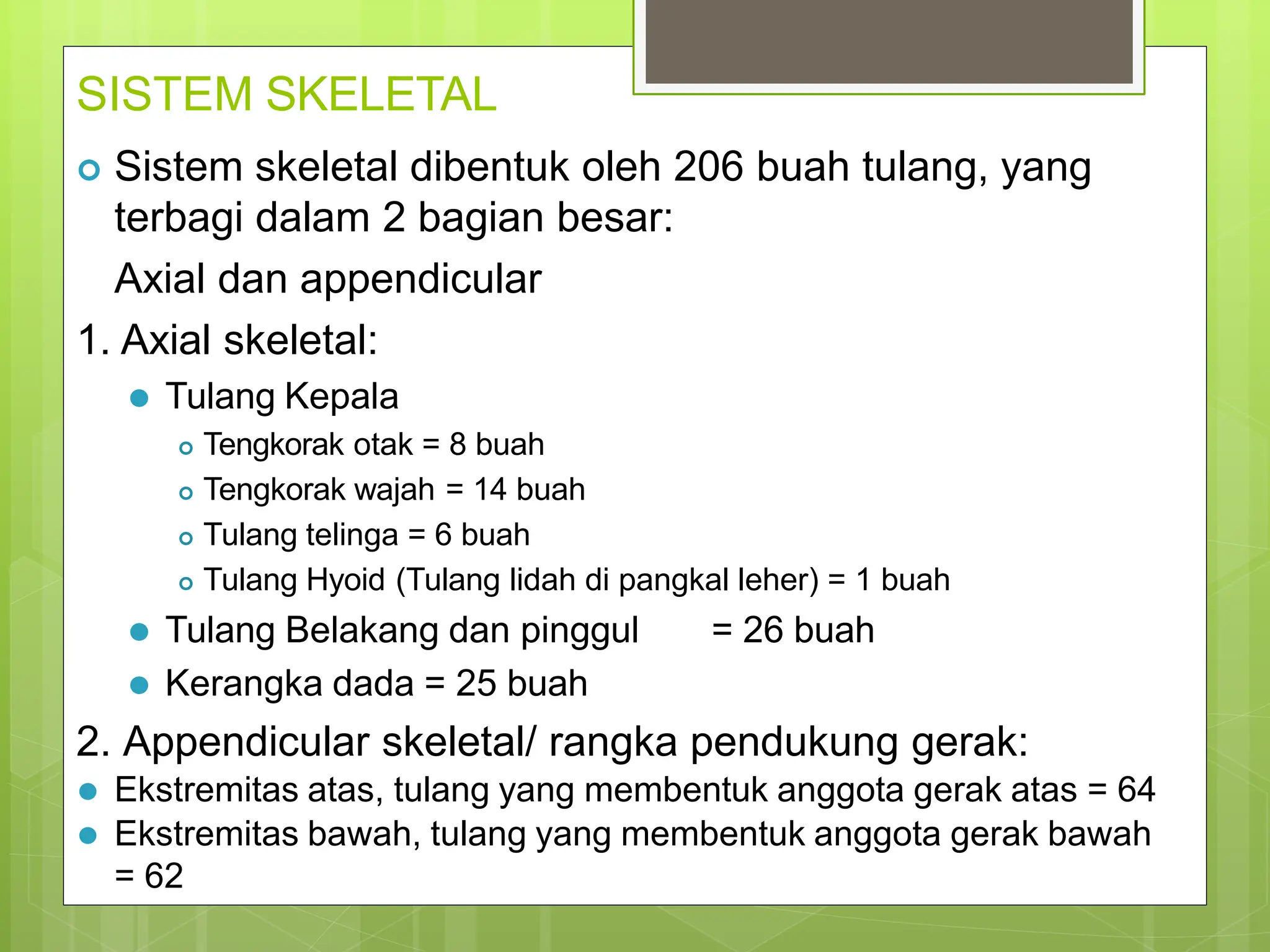PPT Skeletal.pptx