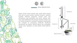 Isolasi minyak atsiri dan uji aktivitas antibakteri | PPTX
