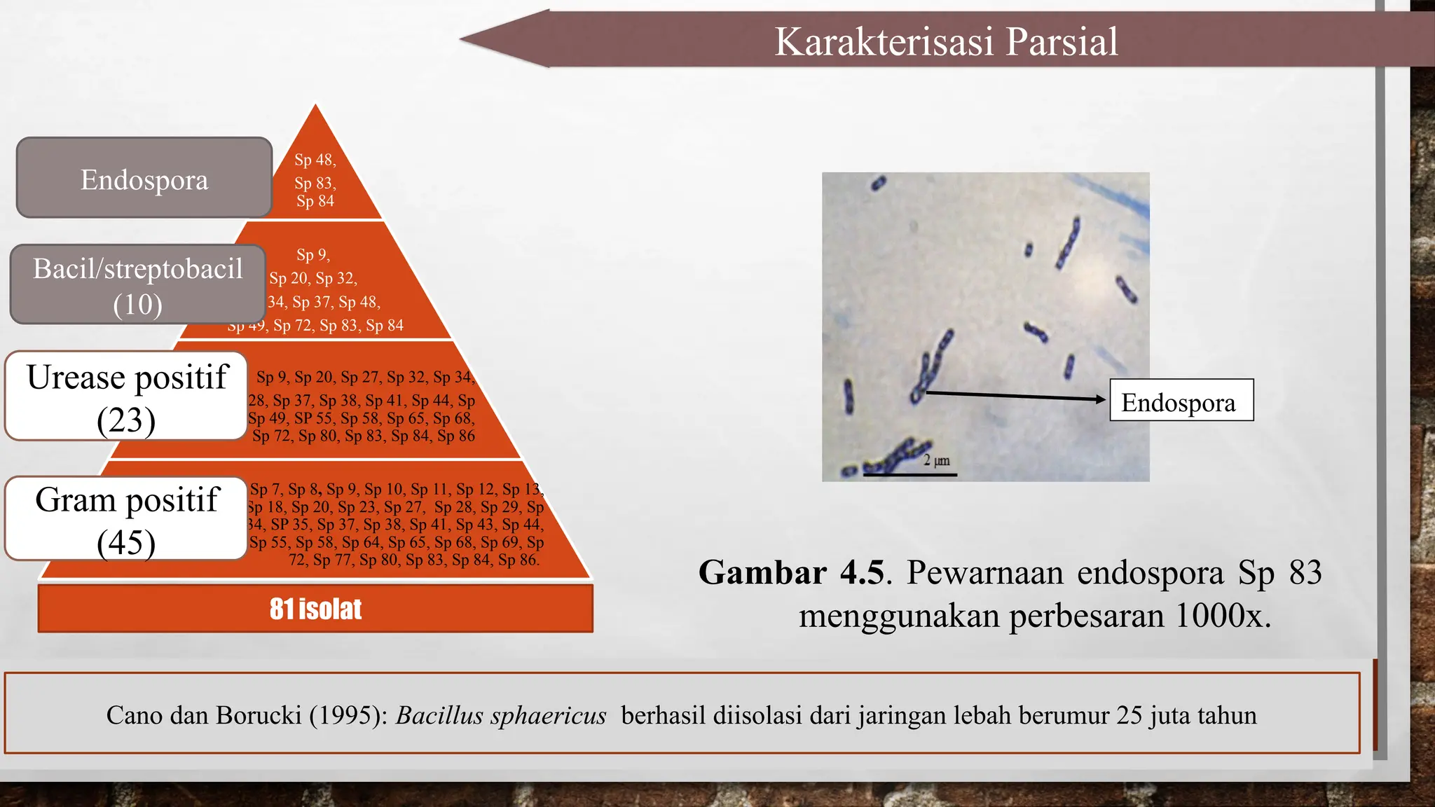 PPT SKRIPSIiiiiiiiiiiiiiiiiiiiiiiiiiiiiiiiiiiiiiiiiiiiiiiiiiiiiii .pptx