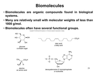 [PPT SLIDE 5] Functional Groups.pptx