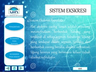 PPT Sistem Ekskresi (Nihayatu Thoyyibah) | PPTX