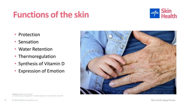 Skin and the Aging Process | PPTX