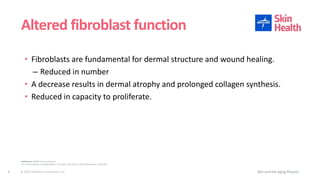 Skin and the Aging Process | PPTX