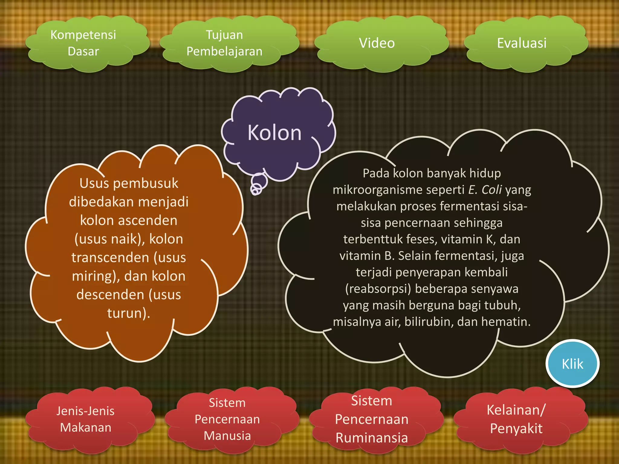 PPT SISTEM PENCERNAAN | PPSX