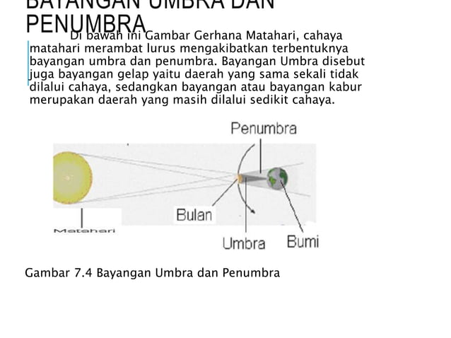Alat Optik dan Indera Pengelihatann.pptx