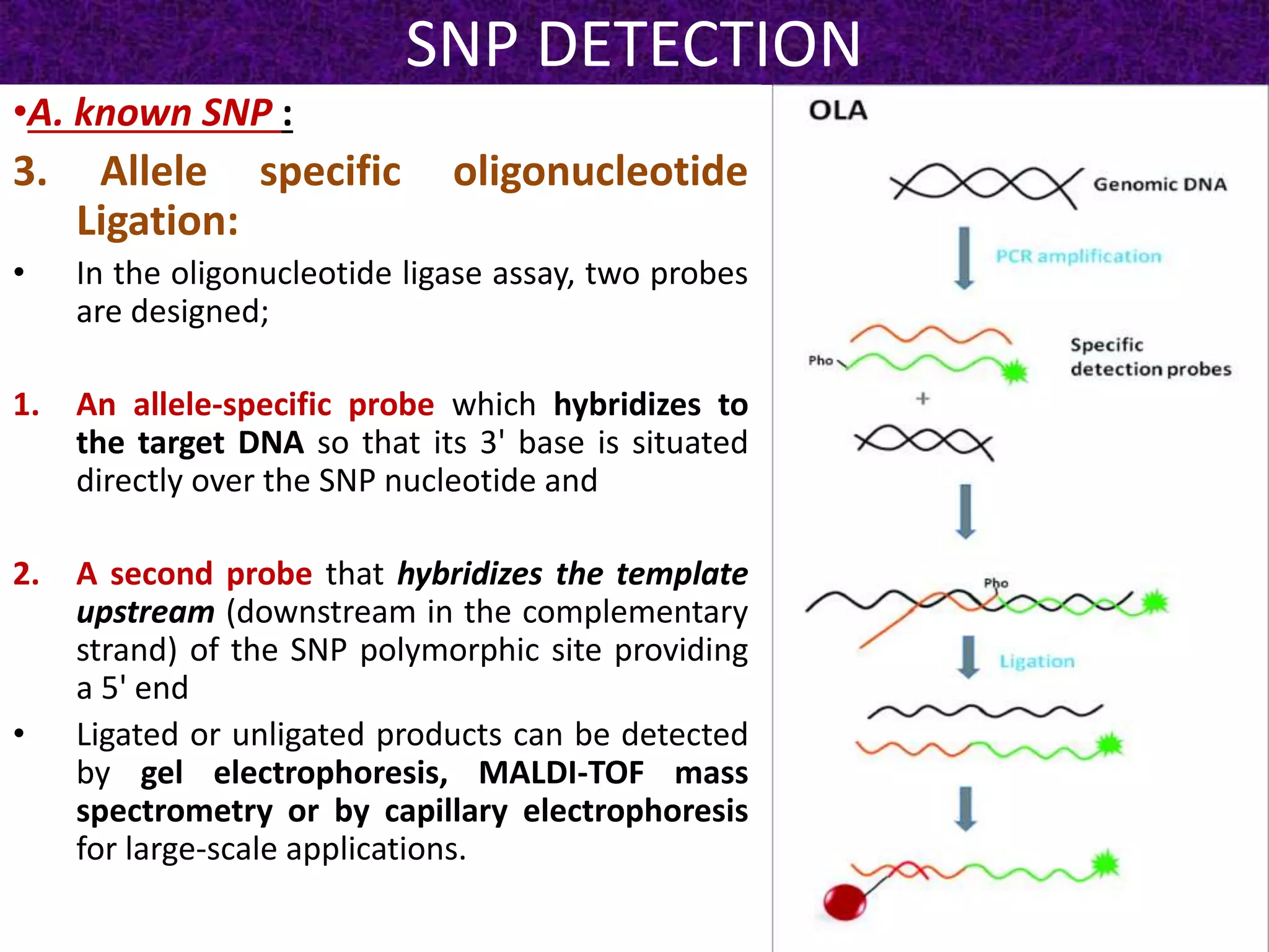 Ppt Snp Detection Pptx