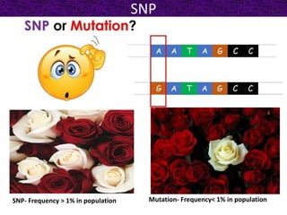 Ppt snp detection | PPTX