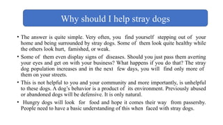 PPT on Role of social media in creating awareness for welfare of Stray ...