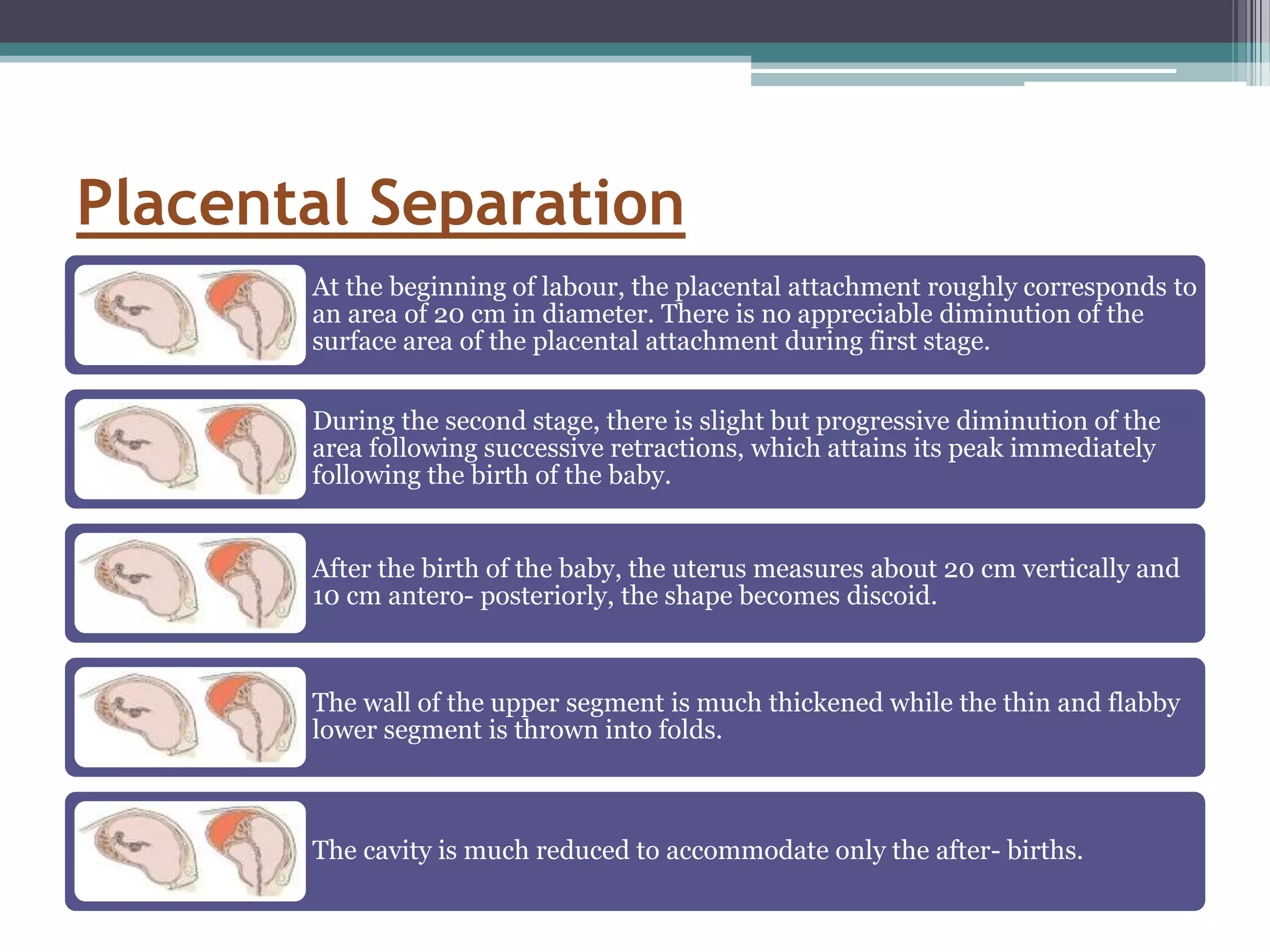 ppts of 3rd and 4th stage.ppt
