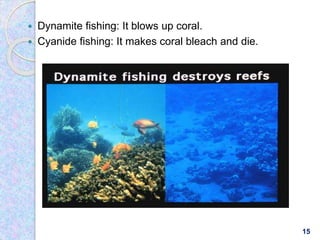 Threats to coral reef | PPT